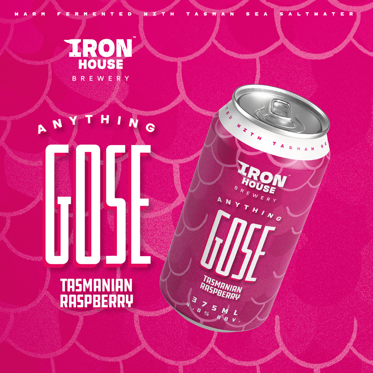 ANYTHING GOSE - Tasmanian Raspberry Gose – Iron House